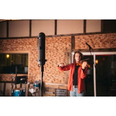 AEA R88A - Microphones à ruban | Woodbrass